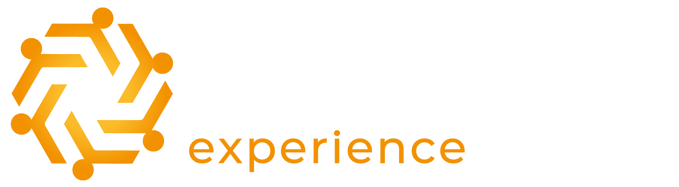 The Leadership Experience